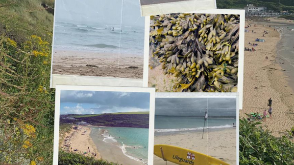 Postcards from Cornwall: The Inspiration Behind the Collection ...