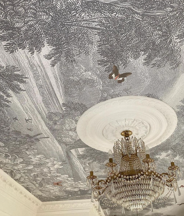 Wallpapered Ceilings? Yes Please! – Woodchip & Magnolia