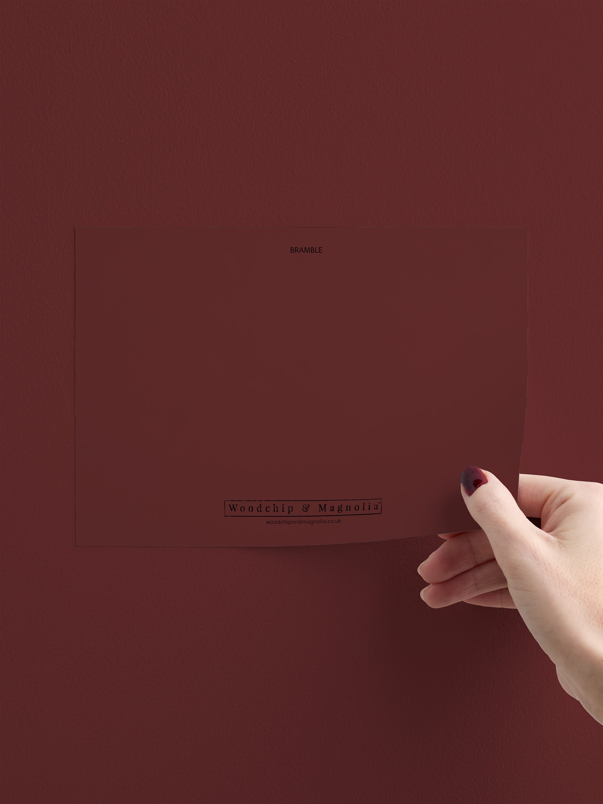 Bramble Matt Emulsion – Deep Crimson, Low-VOC, Water-Based Interior ...
