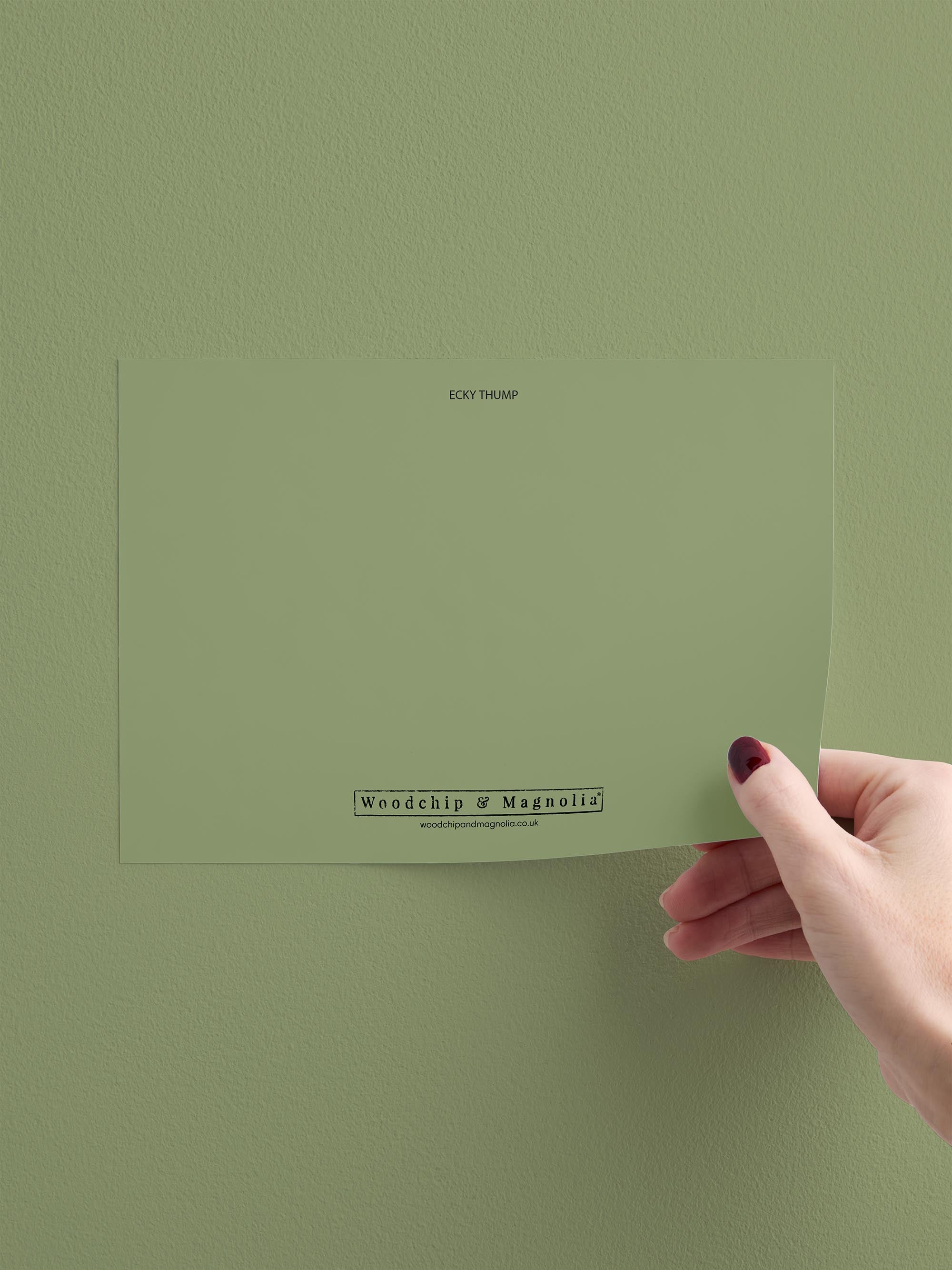 Ecky Thump Matt Emulsion – Serene Moss Green, Low-VOC Interior Paint ...