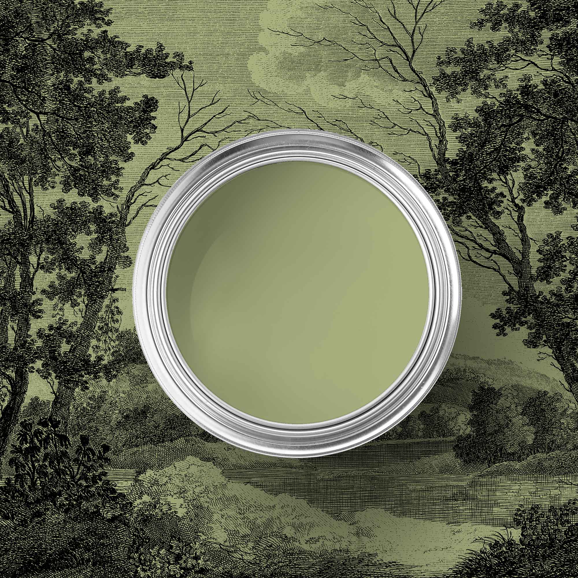 Ecky Thump Matt Emulsion – Serene Moss Green, Low-VOC Interior Paint ...