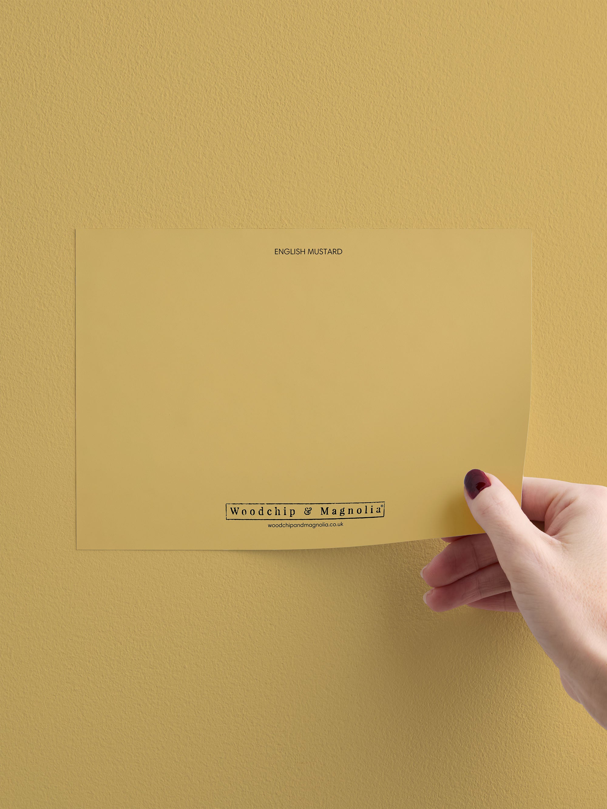 English Mustard Matt Emulsion – Water-Based, Low-VOC Yellow Interior ...