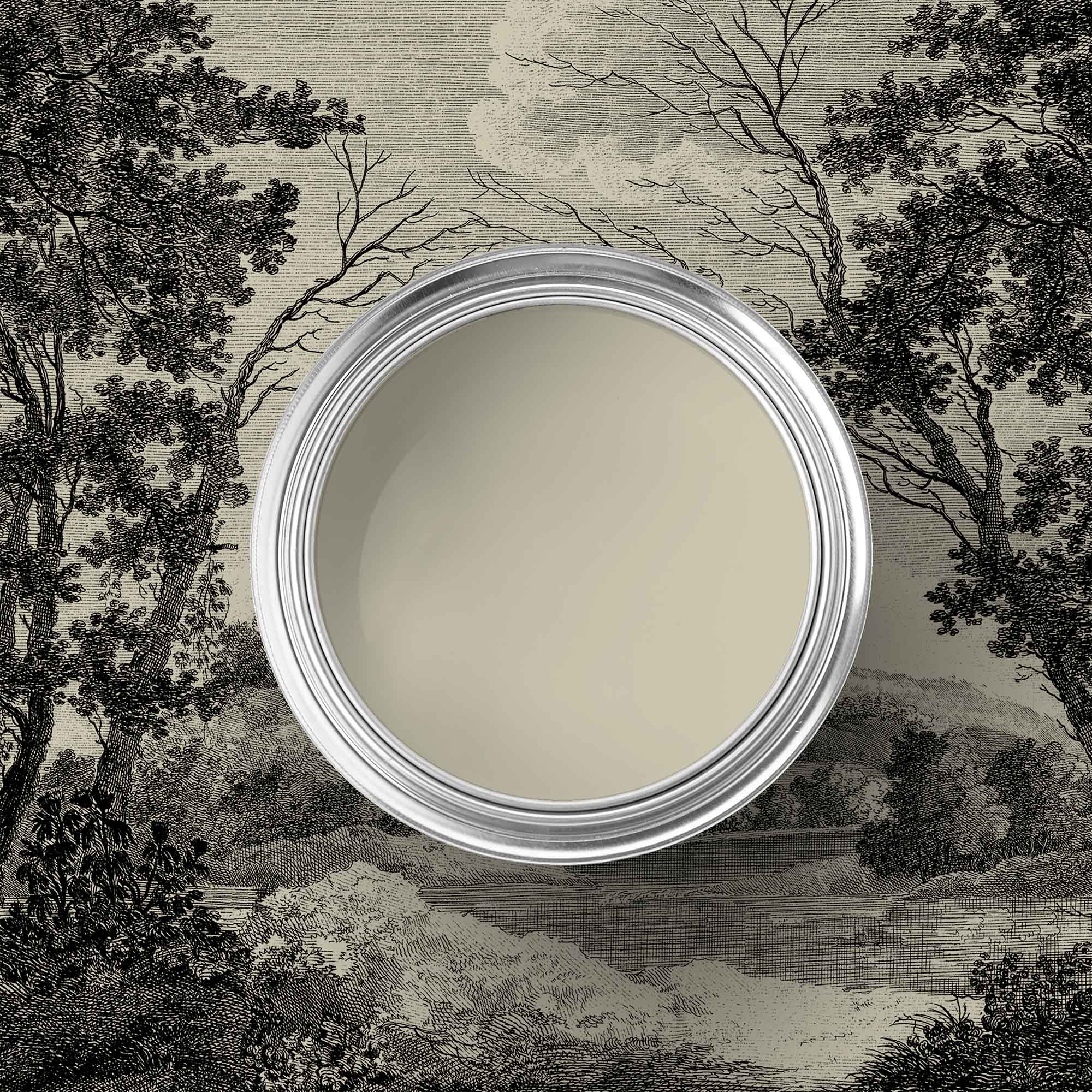 Ginnel Matt Emulsion – Neutral, Pastel Olive Interior Paint, Low-VOC ...