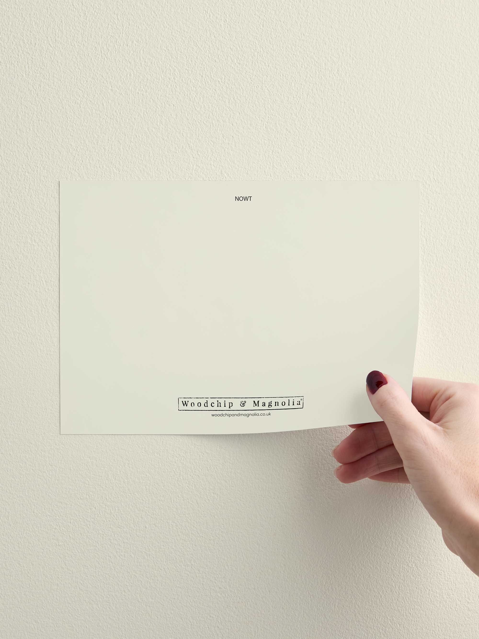 Nowt Matt Emulsion – Warm Neutral, Low-VOC, Eco-Friendly Interior Paint ...