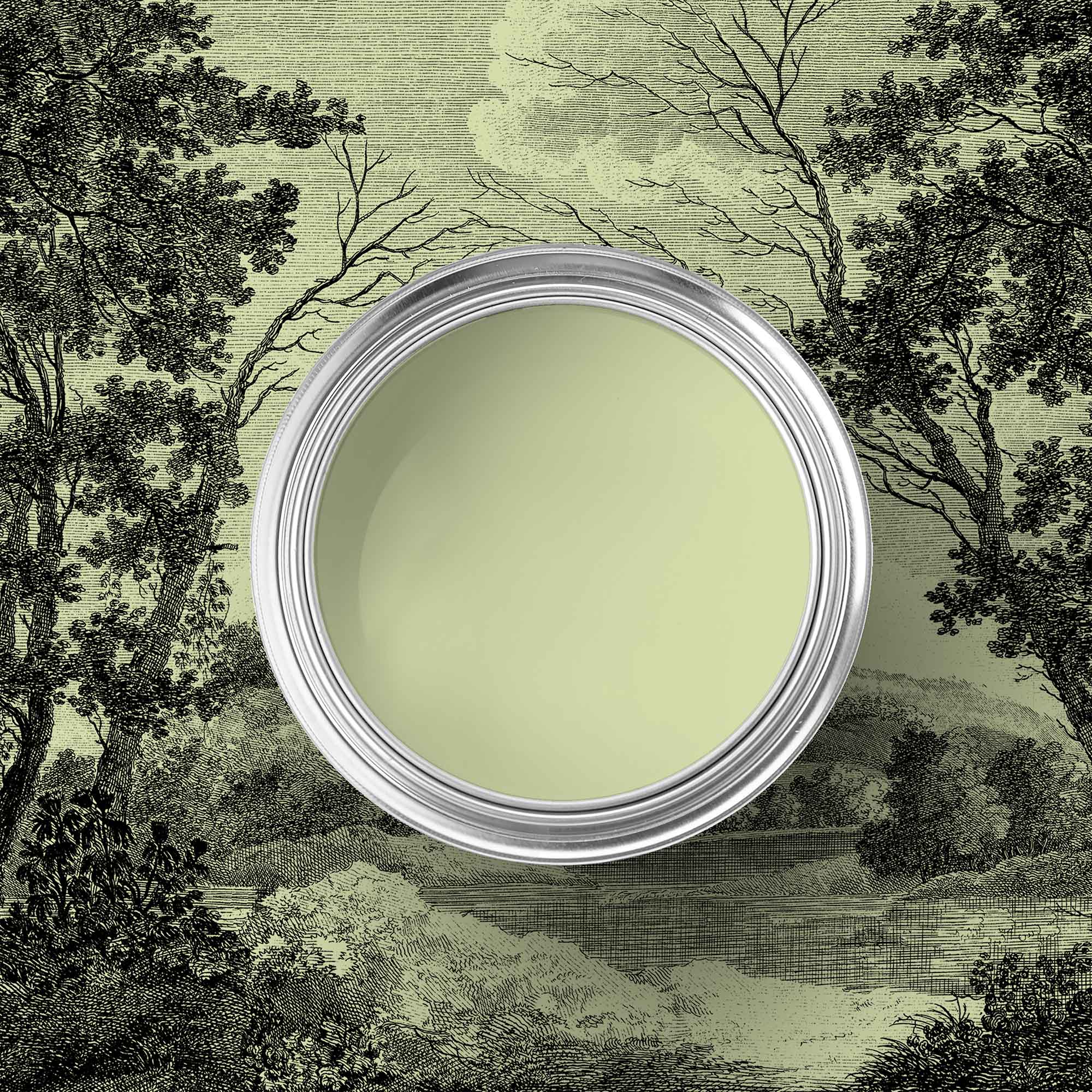 Pea Wet Matt Emulsion – Soft Green, Eco-Friendly, Low-VOC Interior ...