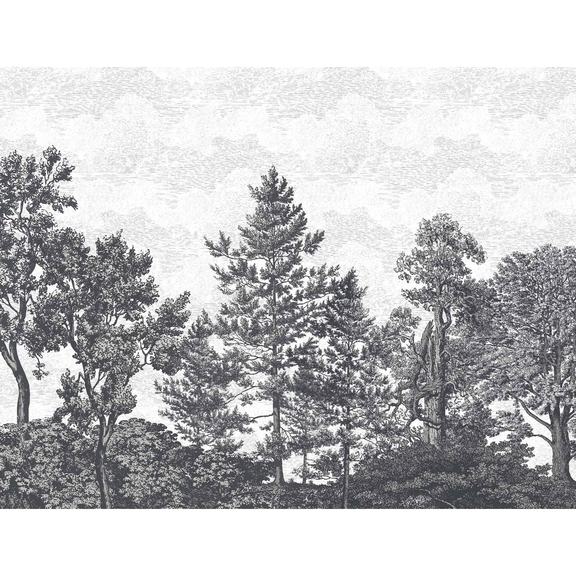 Heaton Park Charcoal Ready Made Mural By Woodchip & Magnolia