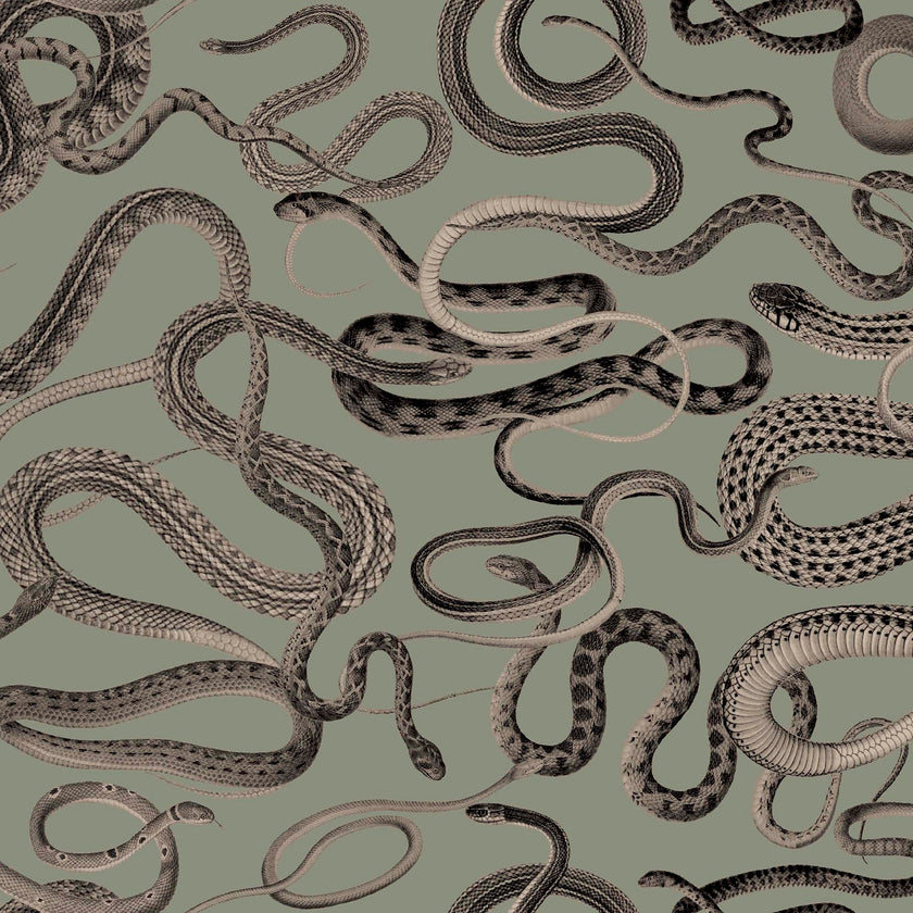 Snakes On A Plane Sage Wallpaper – Animal Print, Dark Green, Paste-the ...
