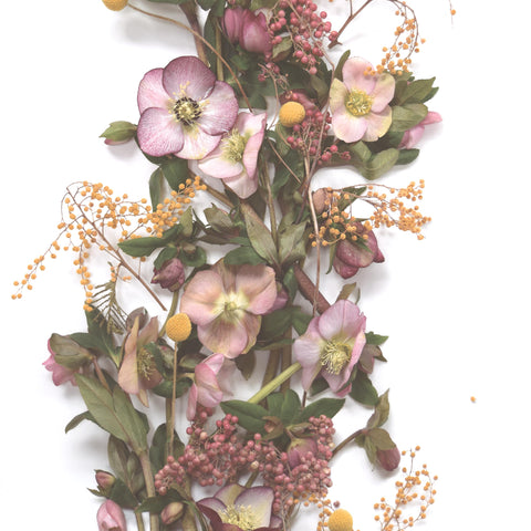 Hellebore Floral Panel Wallpaper – Botanical, Paste-the-Wall, High ...