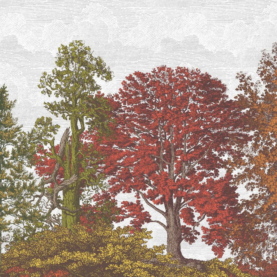 Heaton Park Autumn Mural – Scenic Botanical Wallpaper, High Quality ...