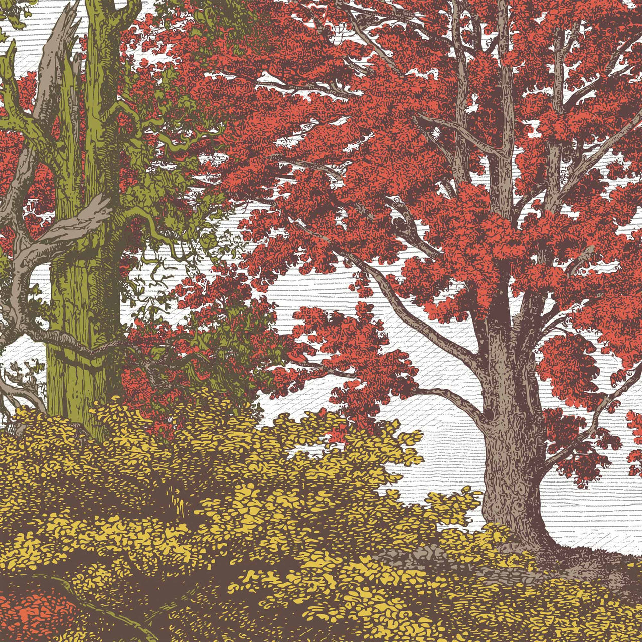 Heaton Park Autumn Mural – Scenic Botanical Wallpaper, High Quality ...