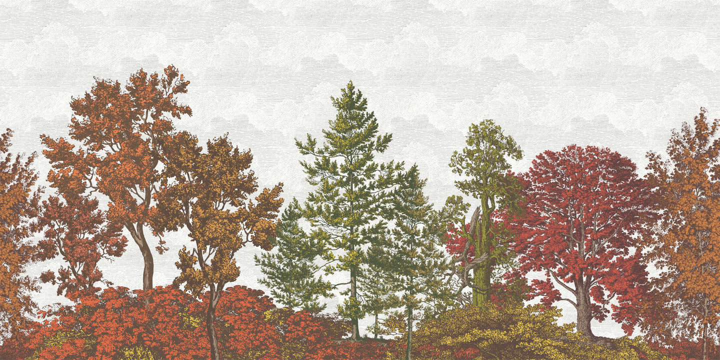 Heaton Park Autumn Mural – Scenic Botanical Wallpaper, High Quality ...