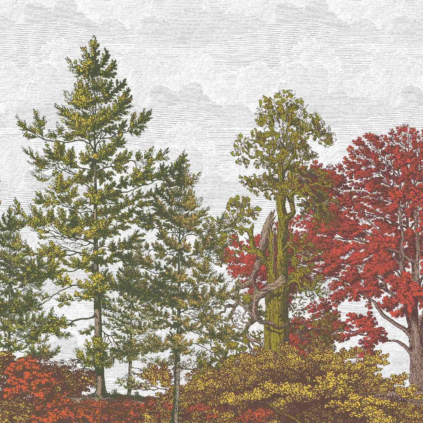 Heaton Border - Autumn - Woodchip & Magnolia