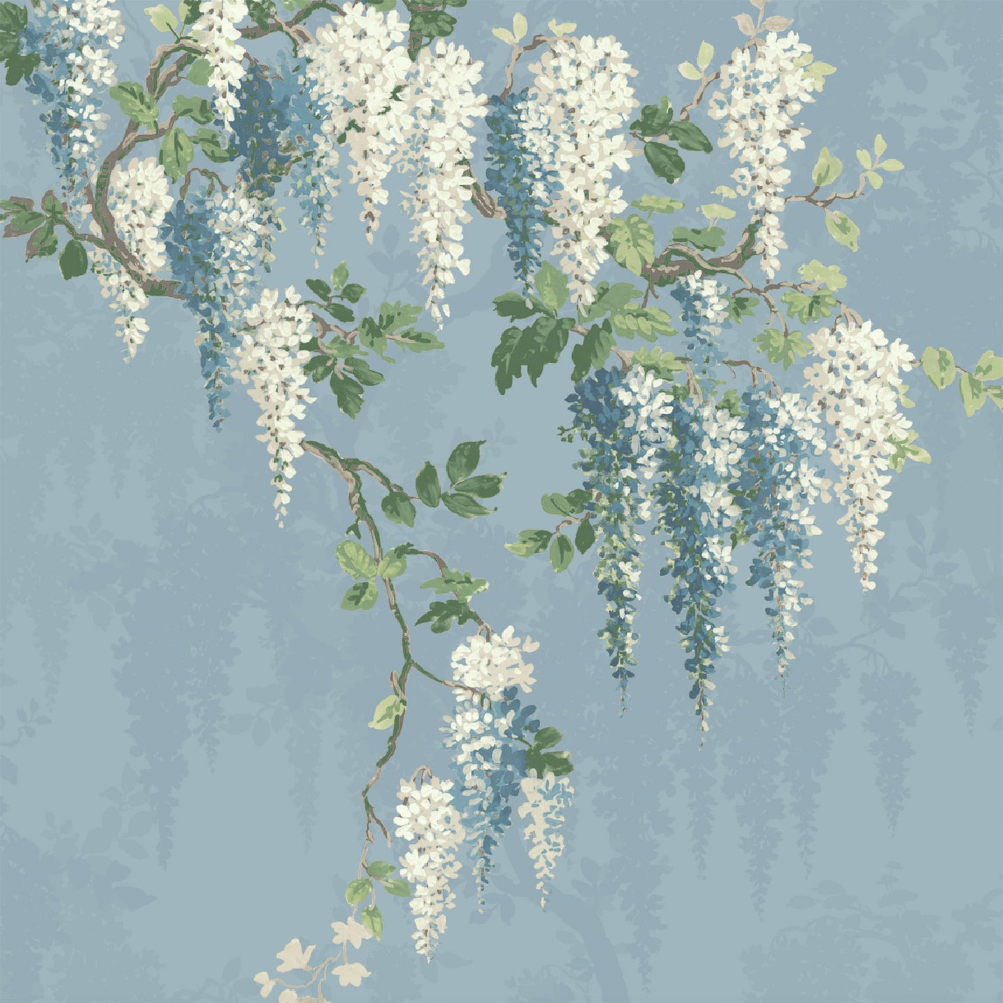 Wisteria Botanical Powder Blue Border by Woodchip & Magnolia
